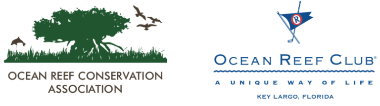Adopt a Coral – Ocean Reef Conservation Association
